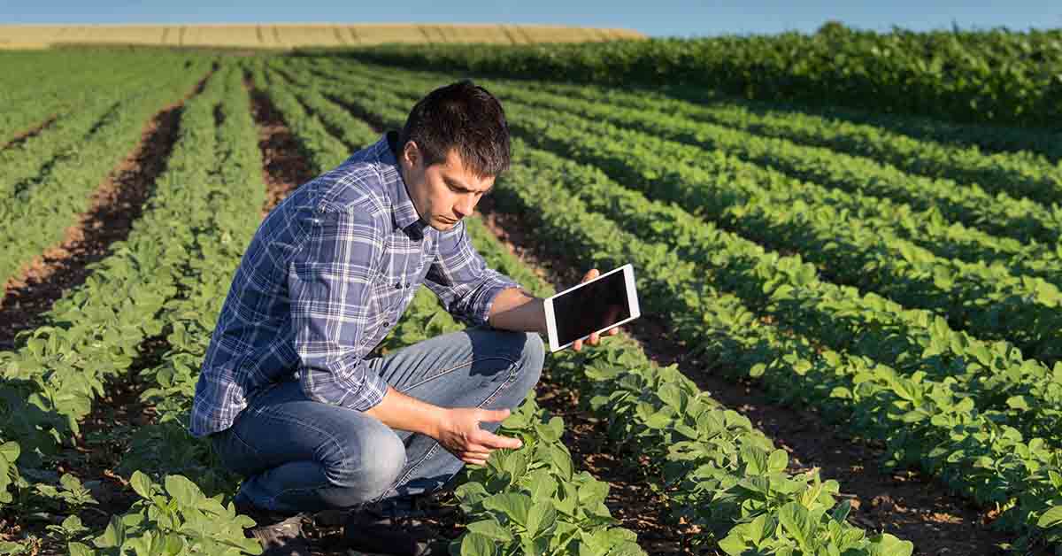 Blockchain and emerging approaches supporting food safety management ...