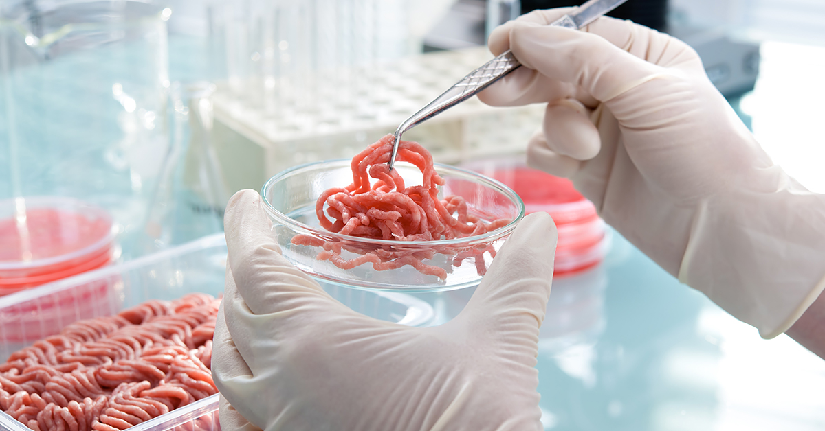 Major milestone for human food made with cultivated animal cells in the ...