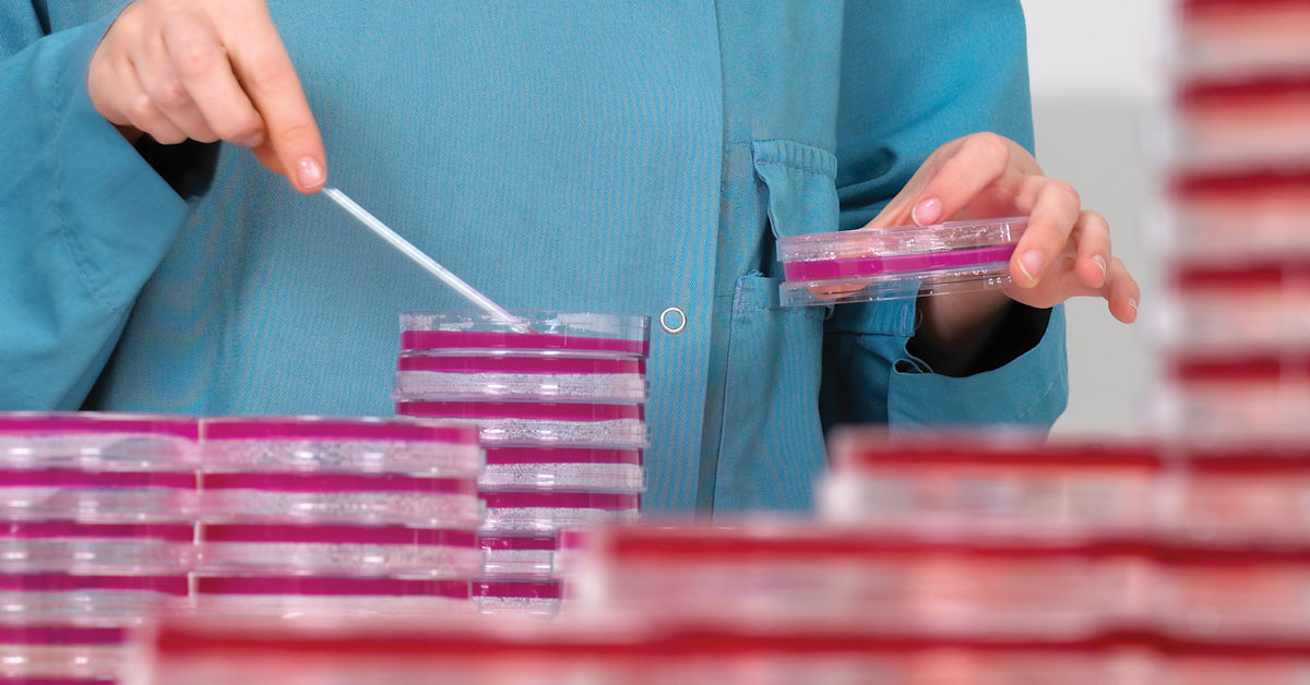 Microbiological risk assessment at Campden BRI