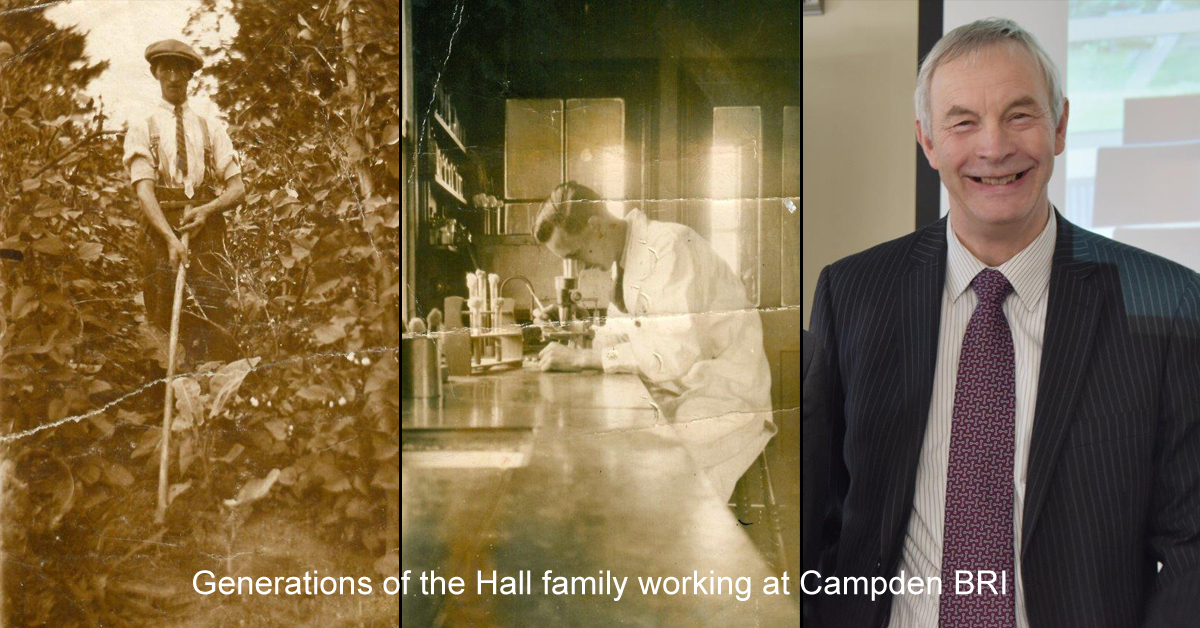 100-year dynasty at Campden BRI comes to an end as Martin Hall retires ...
