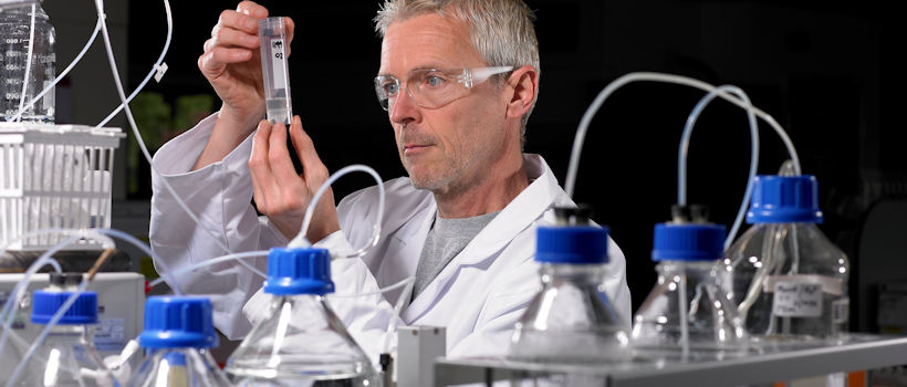 Food analysis and testing at Campden BRI Food analysis and testing at Campden BRI